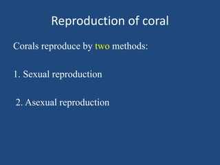 Reproduction of coral | PPTX