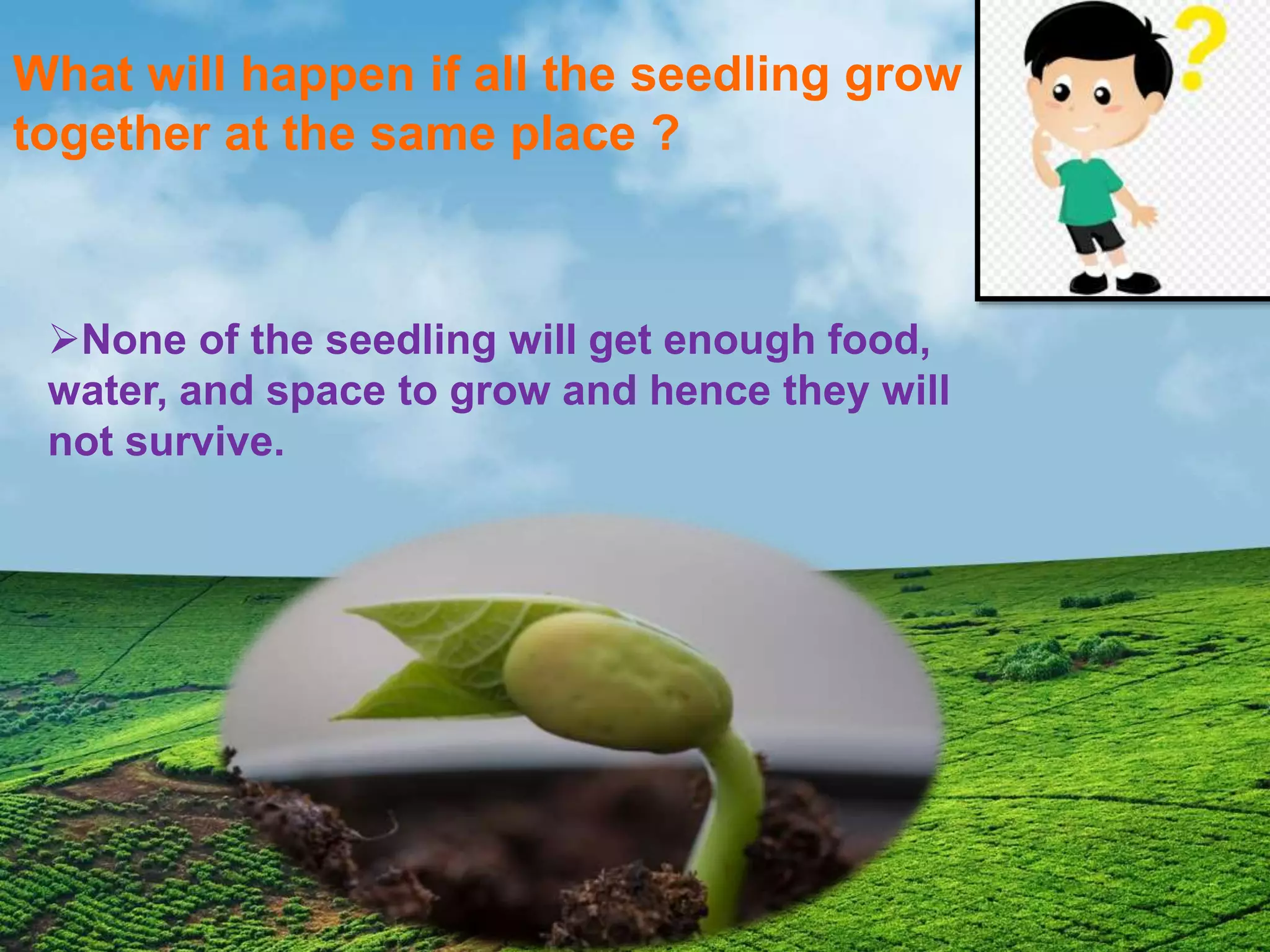 Reproduction in plants for grade 5 | PPT