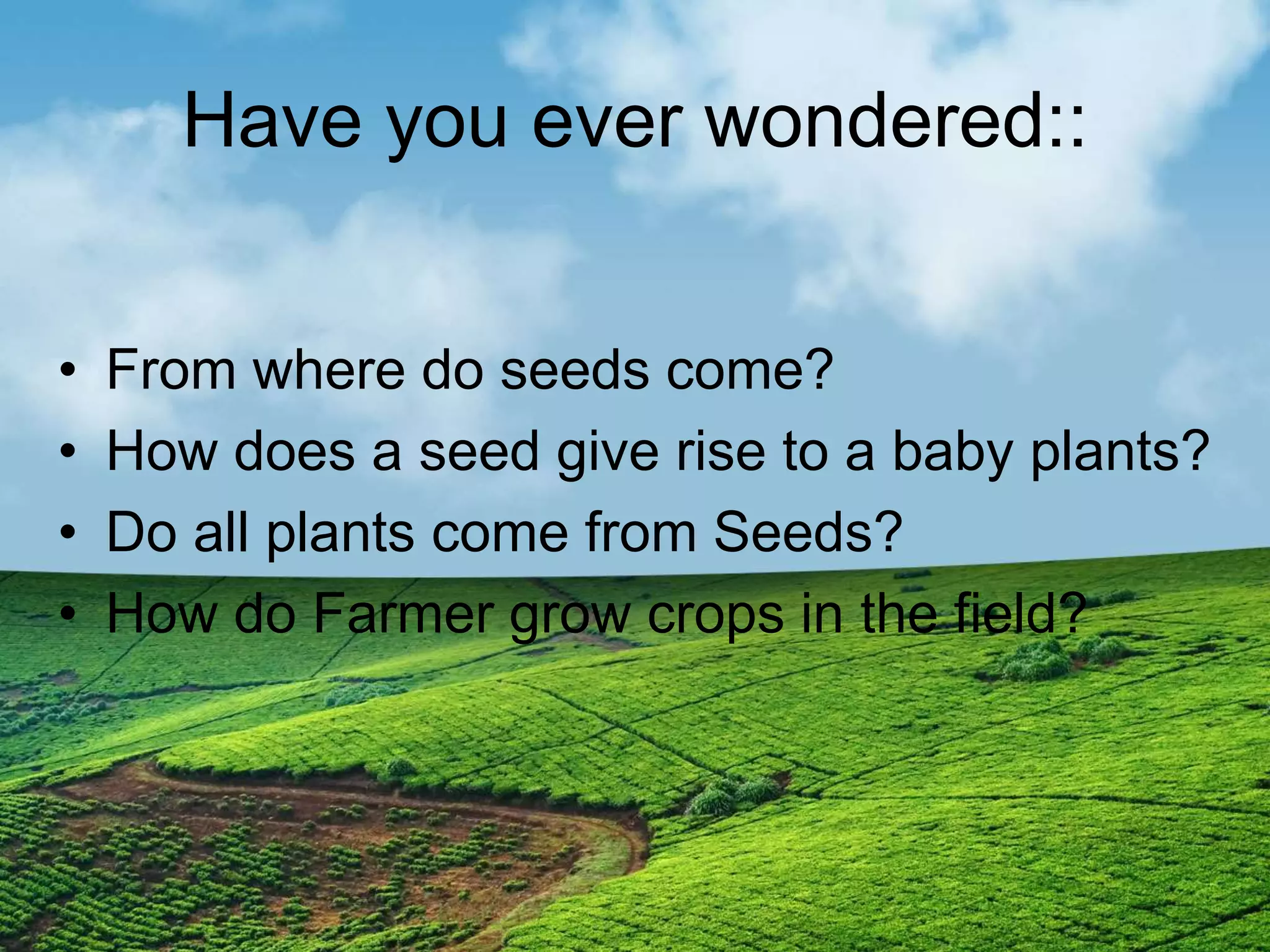Reproduction in plants for grade 5 | PPT