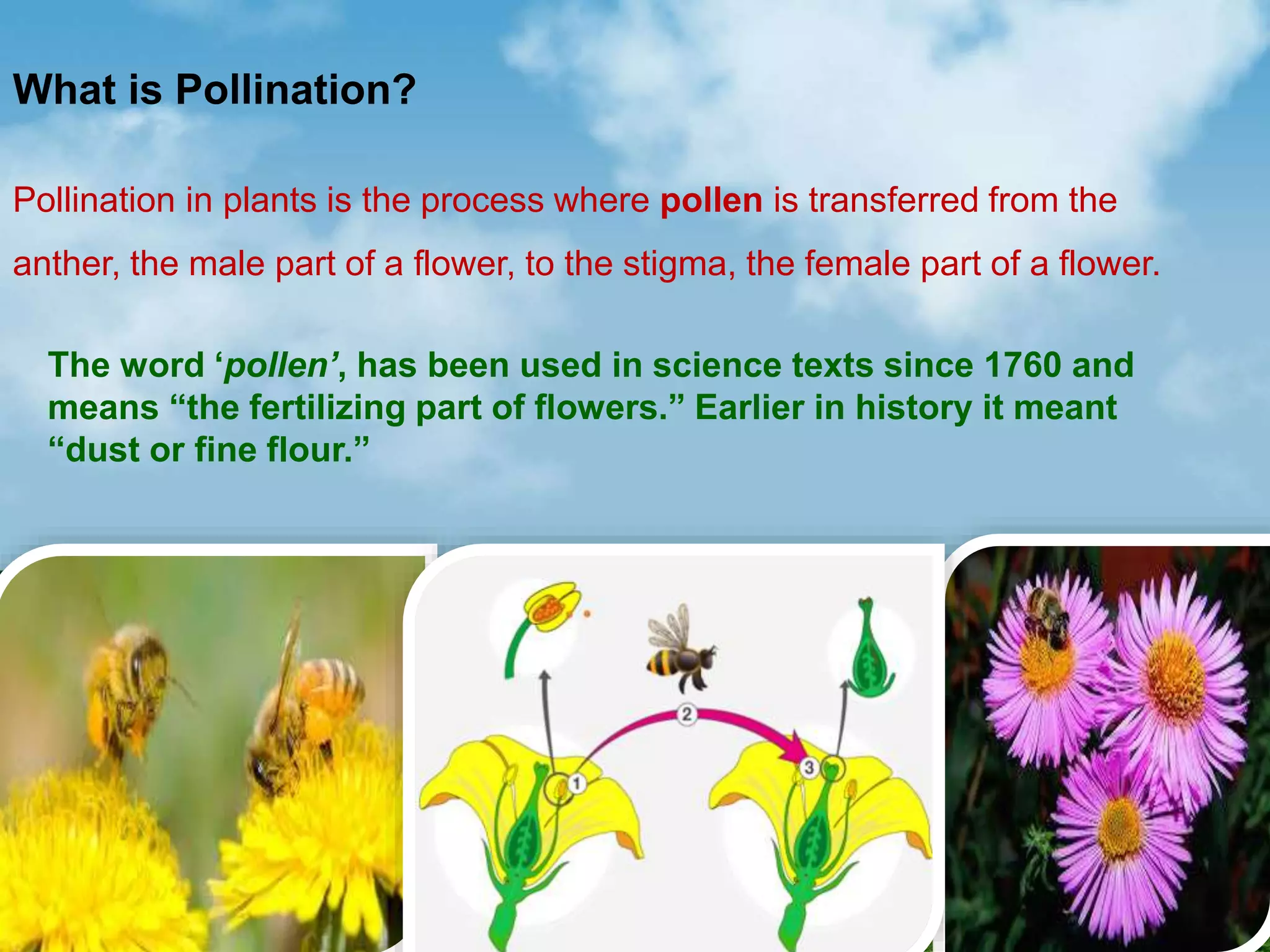 Reproduction in plants for grade 5 | PPT
