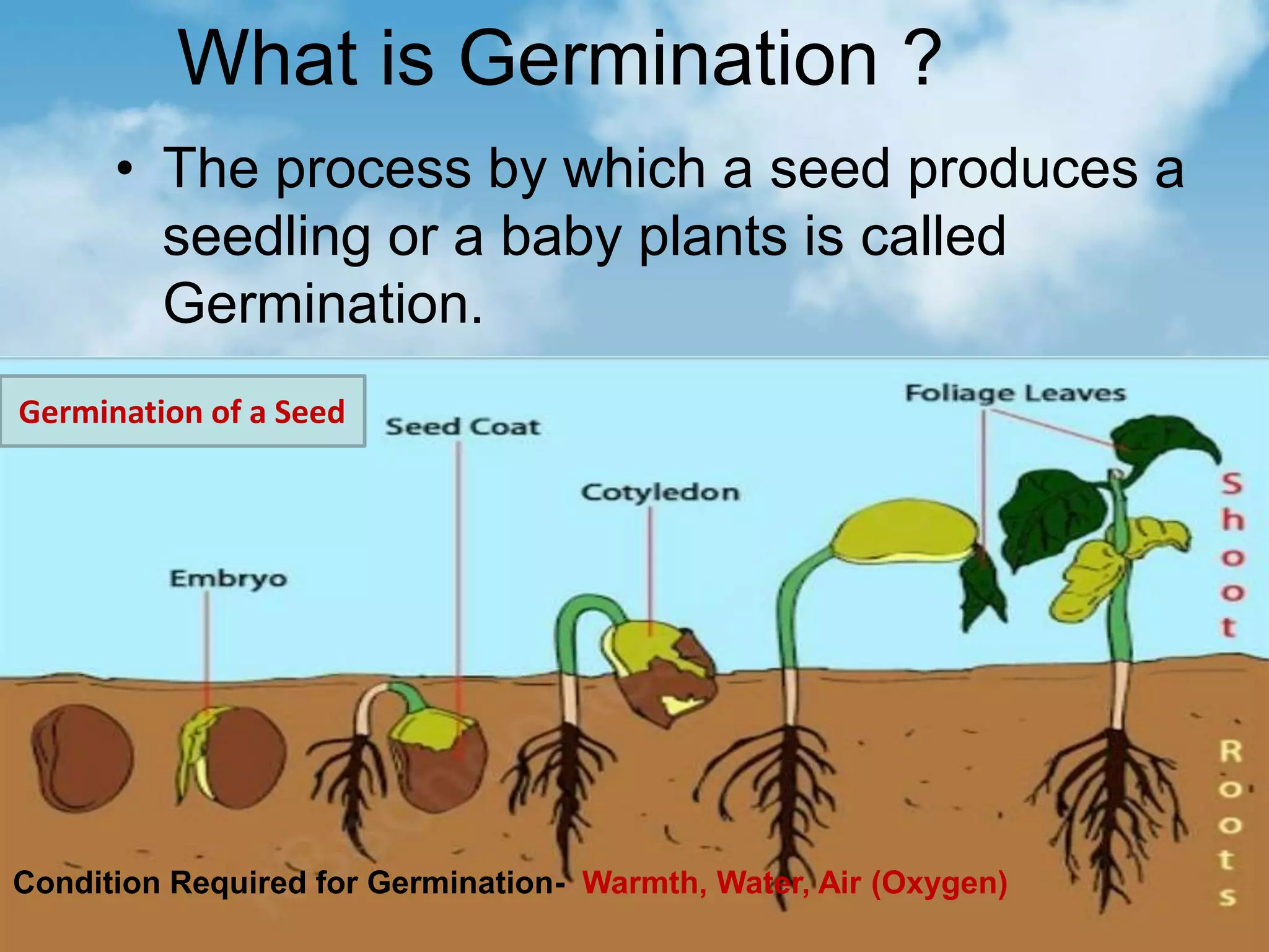 Reproduction in plants for grade 5 | PPT