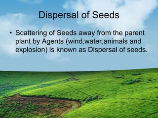 Reproduction in plants for grade 5 | PPT
