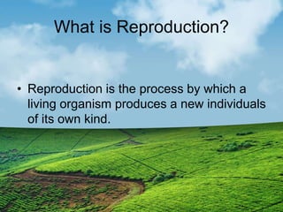 Reproduction in plants for grade 5 | PPT
