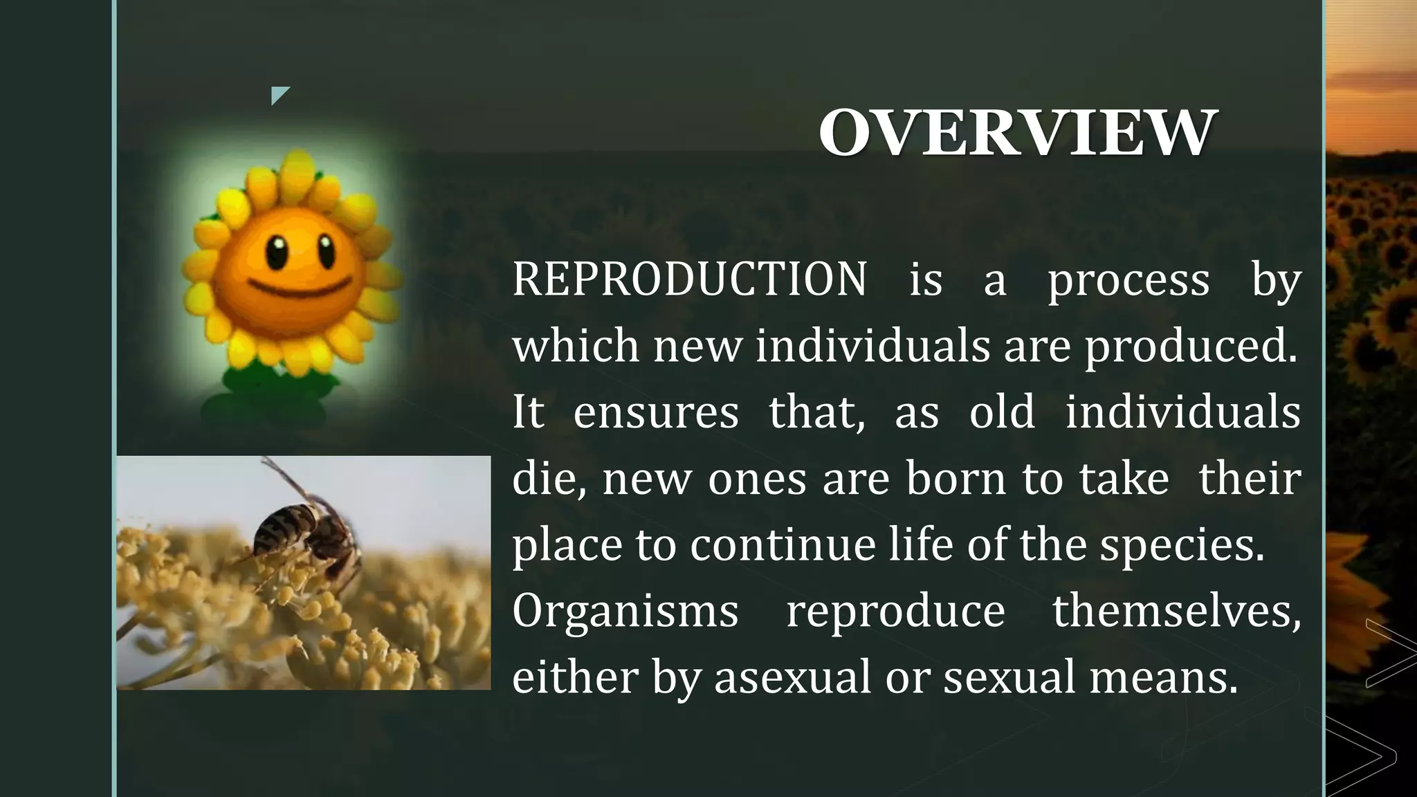 Reproduction of plants and simple animals | PDF