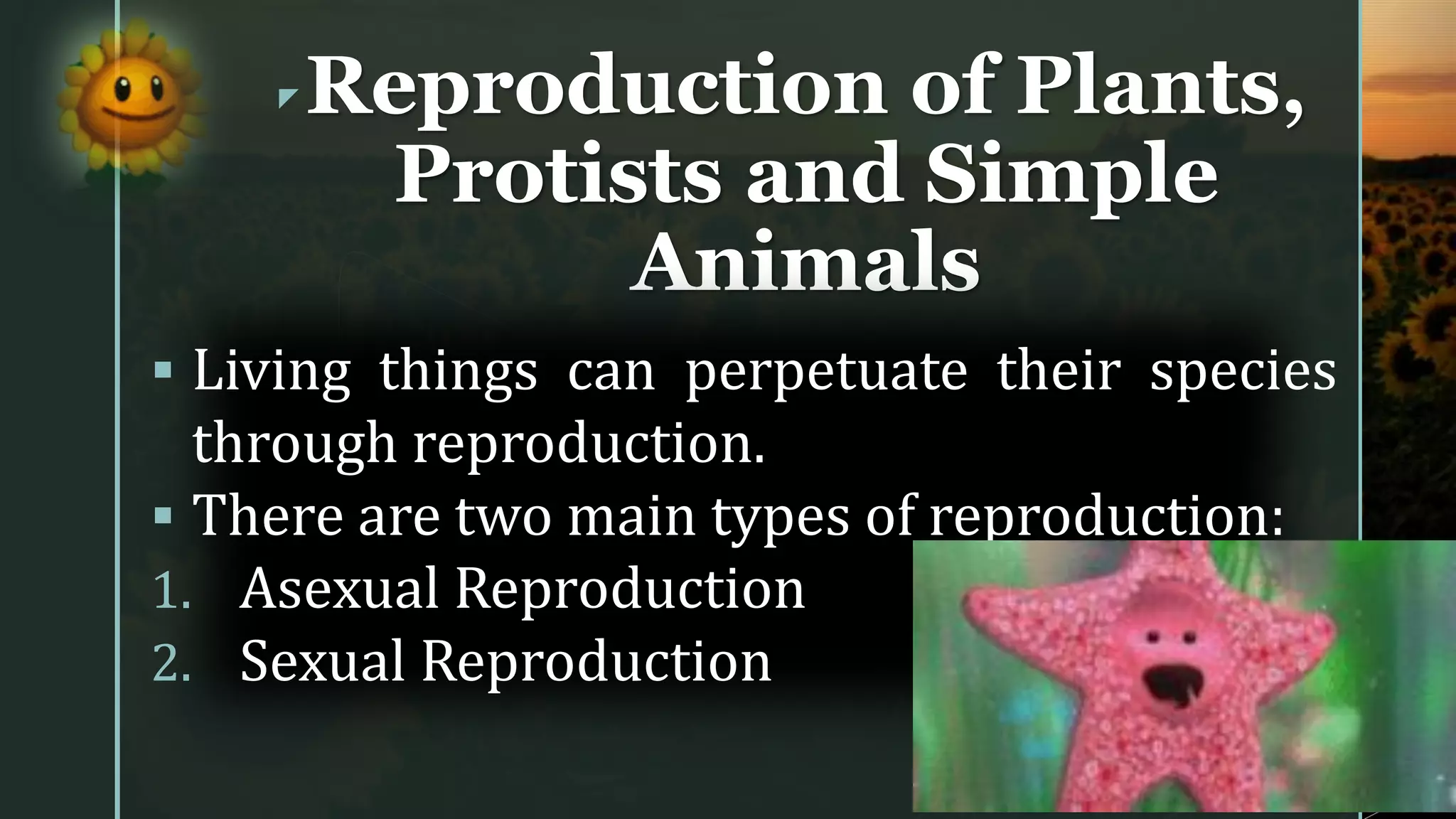 Reproduction of plants and simple animals | PDF