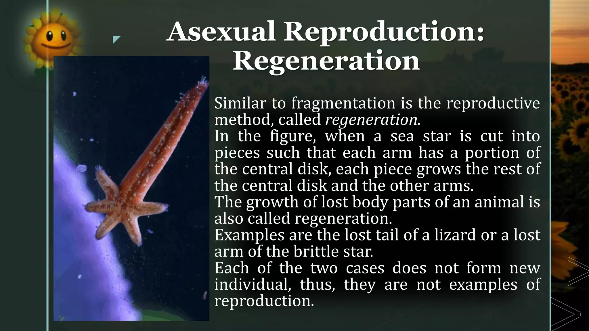 Reproduction of plants and simple animals | PDF