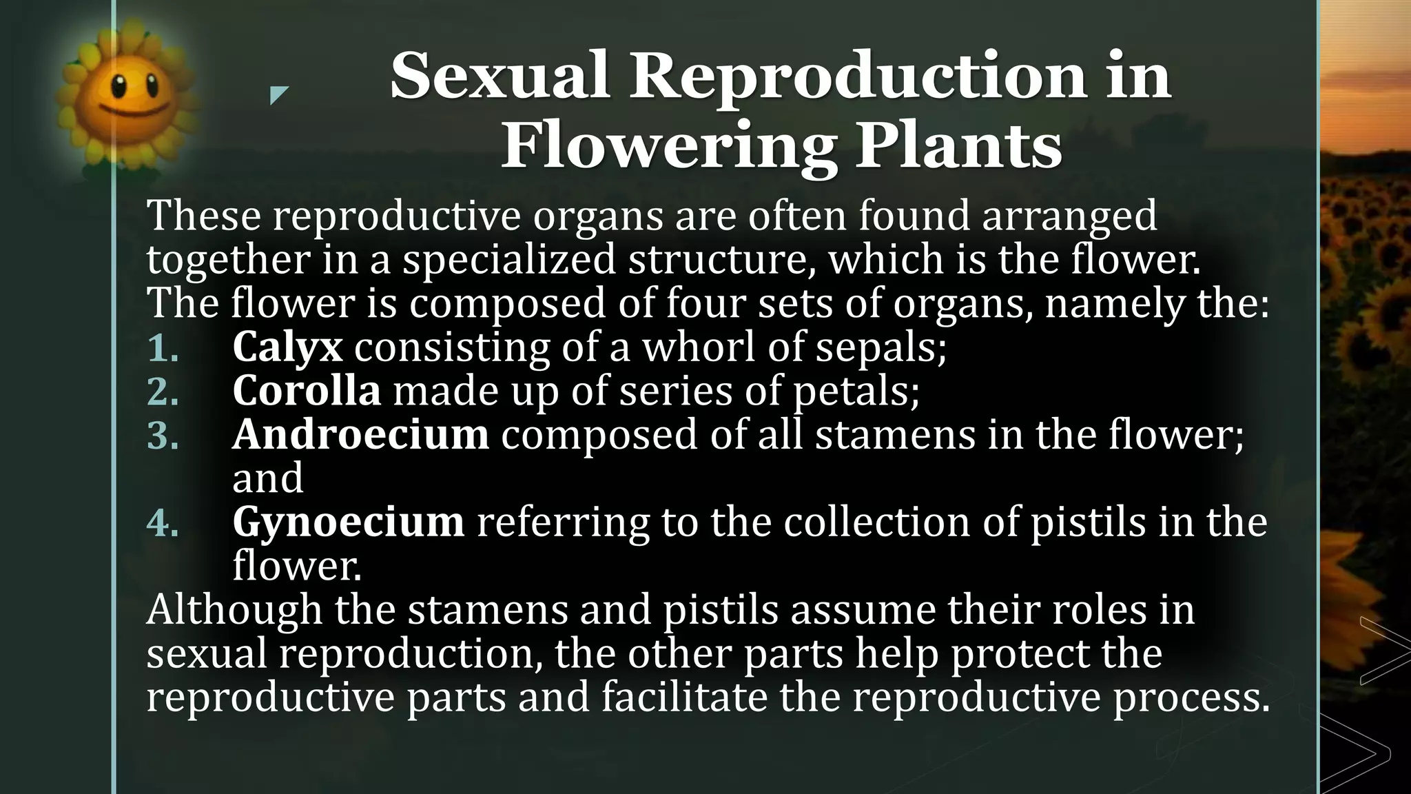 Reproduction of plants and simple animals | PDF