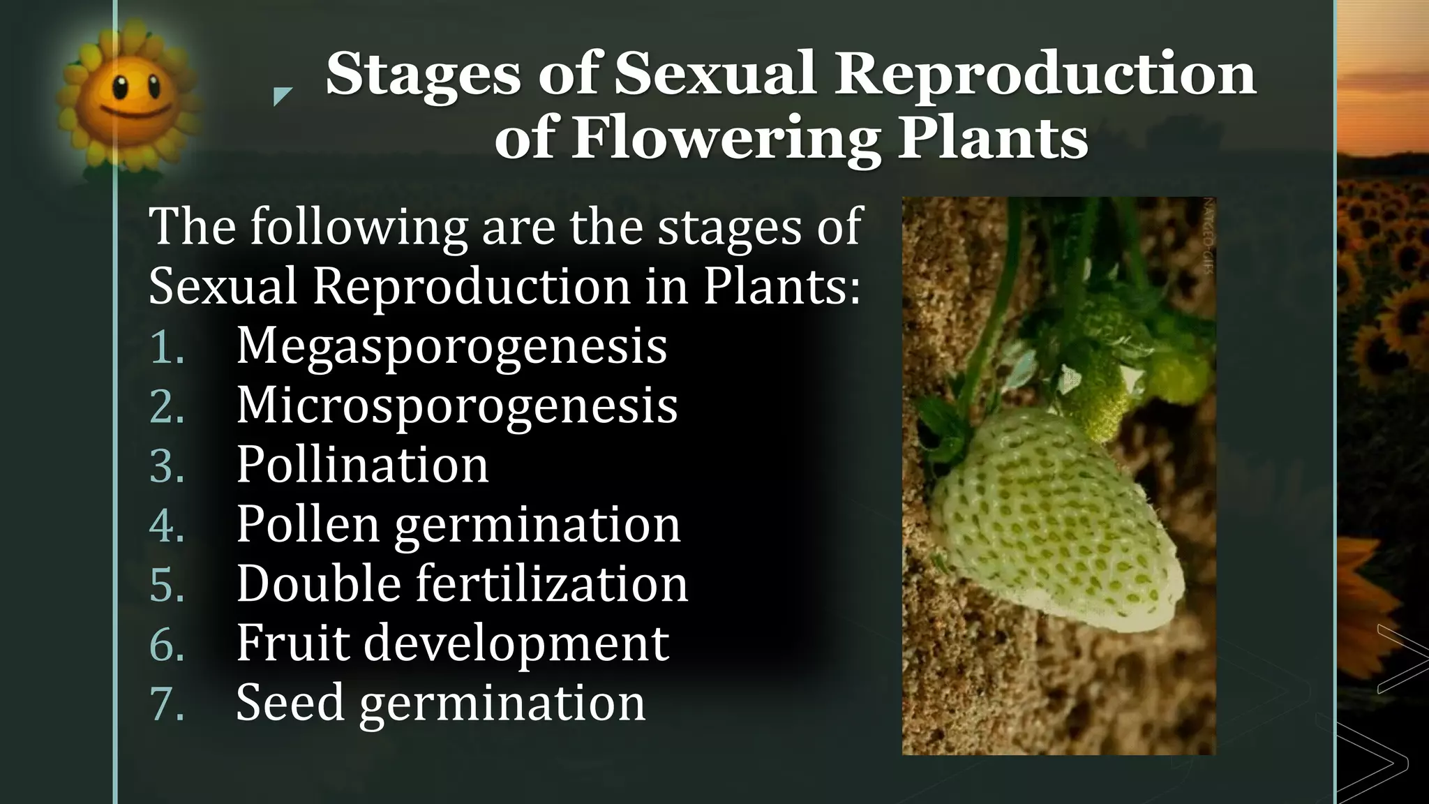 Reproduction of plants and simple animals | PDF