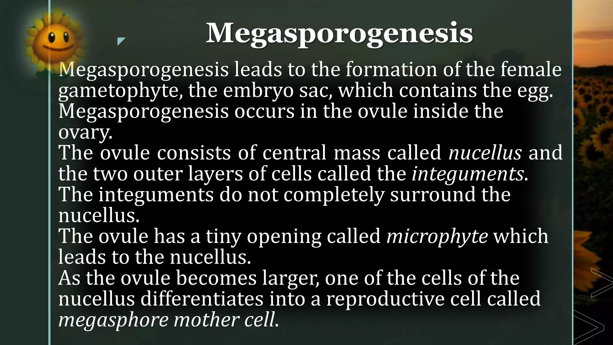 Reproduction of plants and simple animals | PDF