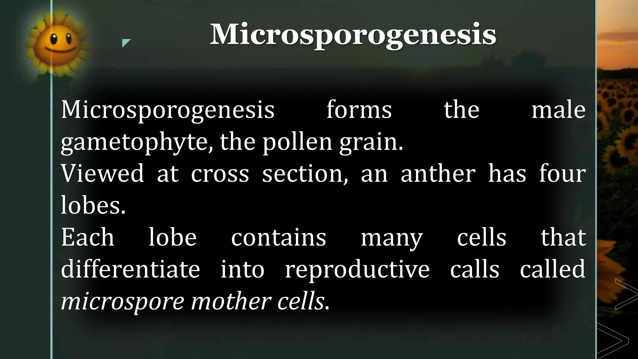 Reproduction of plants and simple animals | PDF