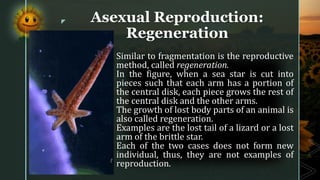 Reproduction of plants and simple animals | PDF