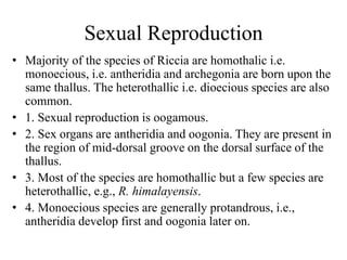 Reproduction in Riccia | PPTX