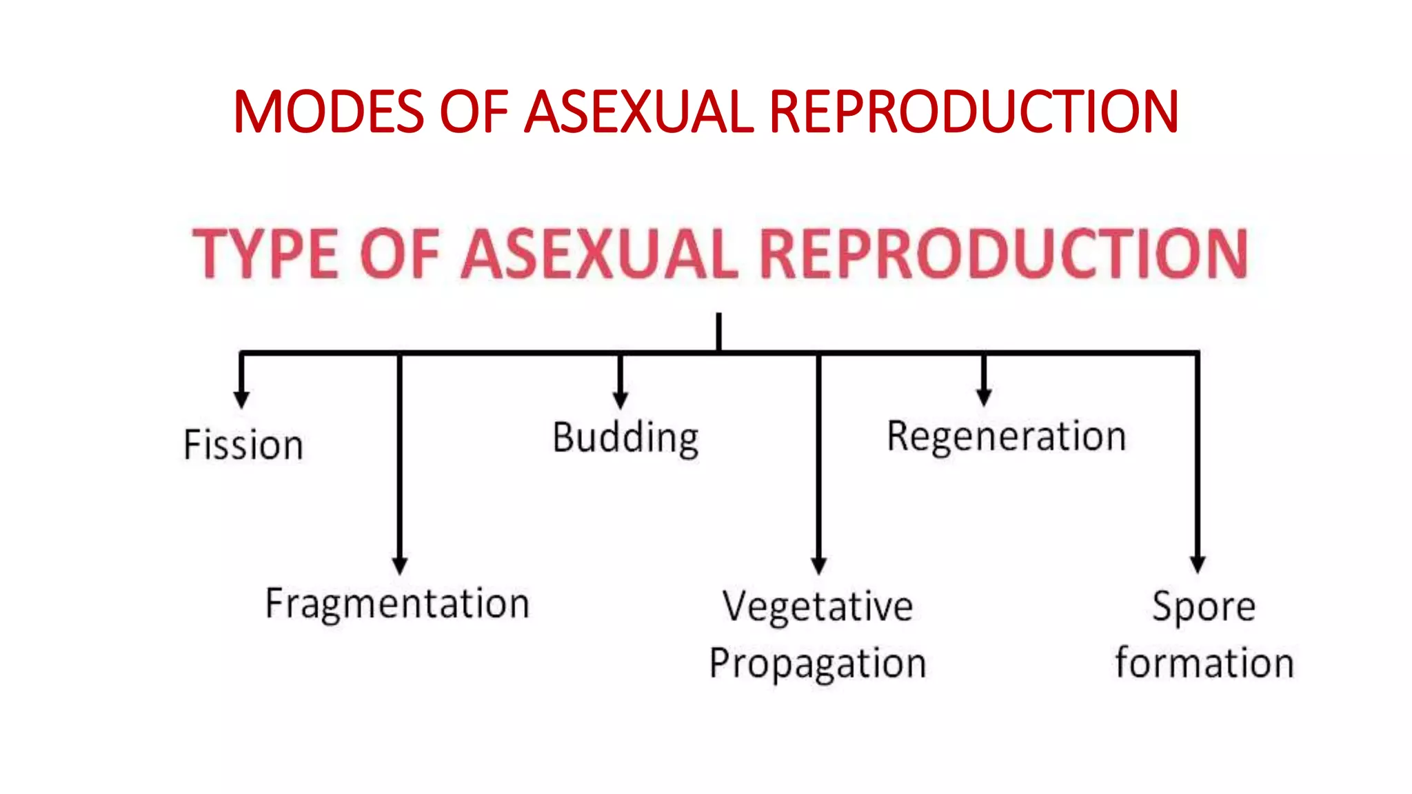 REPRODUCTION PART -1.pptx