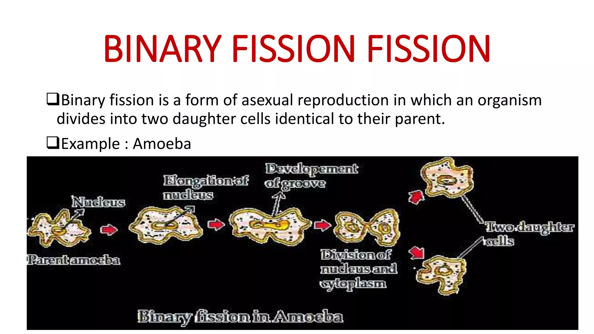 REPRODUCTION PART -1.pptx