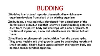 REPRODUCTION PART -1.pptx