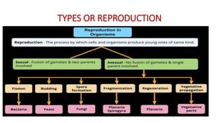 REPRODUCTION PART -1.pptx