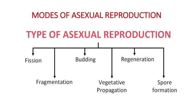 REPRODUCTION PART -1.pptx