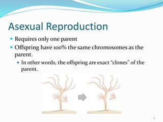 Reproduction Reproduction Reproduction Reproduction | PPTX ...