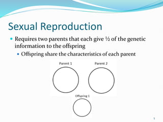 Reproduction Reproduction Reproduction Reproduction | PPTX ...
