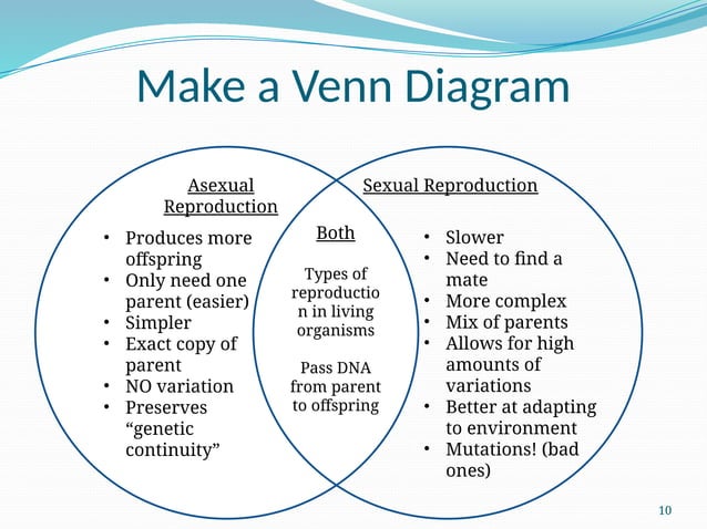 Reproduction Ppt Pptxbbbbbbbbbbbbbbbbbbbbb Pptx