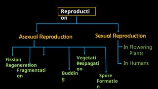 REPRODUCTION in living organisms PPT.ppt