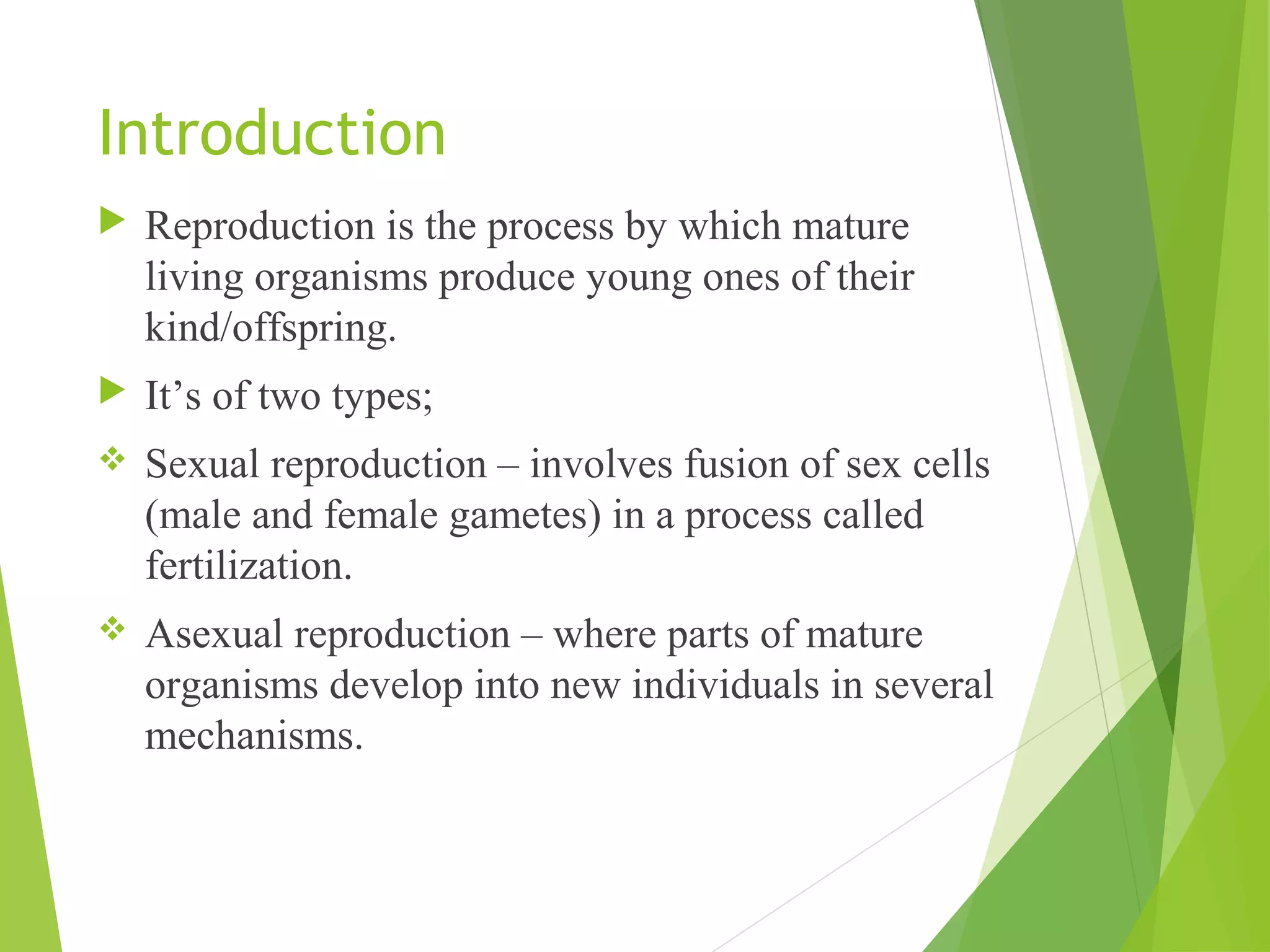 Reproduction Ppt; New | PPT