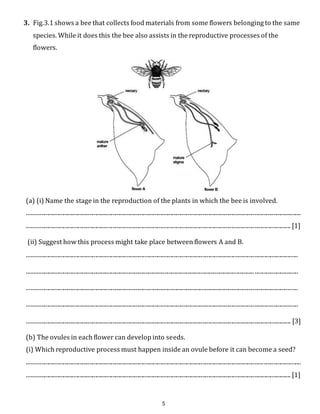 Reproduction practice questions - plant focus | DOCX