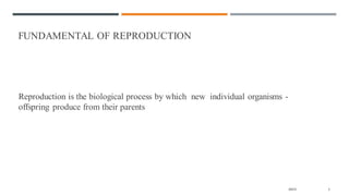 Reproduction process.pdf