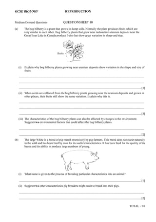 Reproduction in Animals Revision Questions | PDF