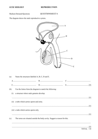 Reproduction in Animals Revision Questions | PDF