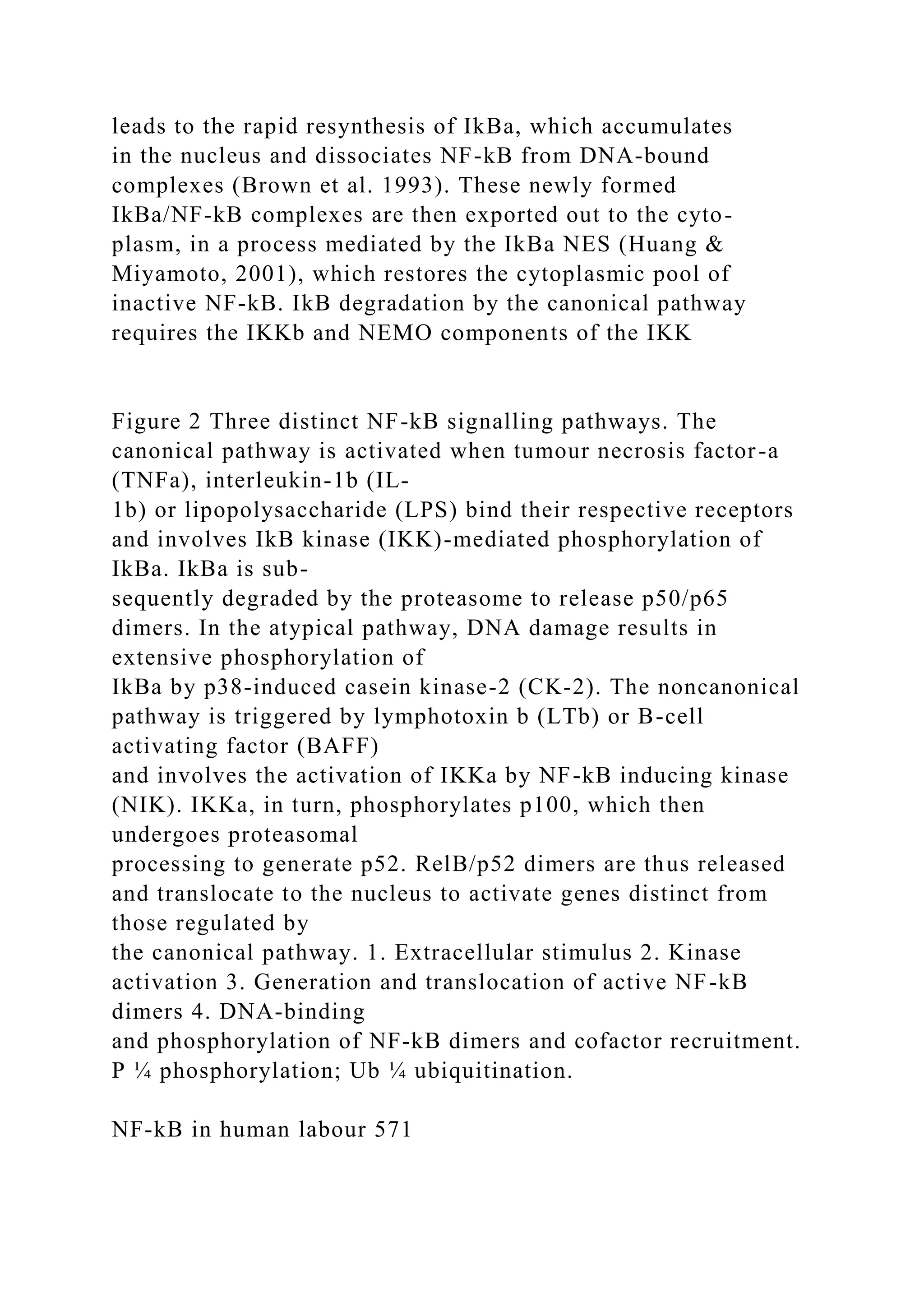REPRODUCTIONREVIEWThe role of nuclear factor kappa B in hu.docx