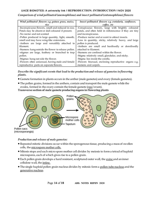 Reproductions notes qn & qns 2020.doc