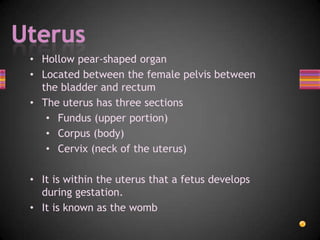 Reproduction system | PPTX