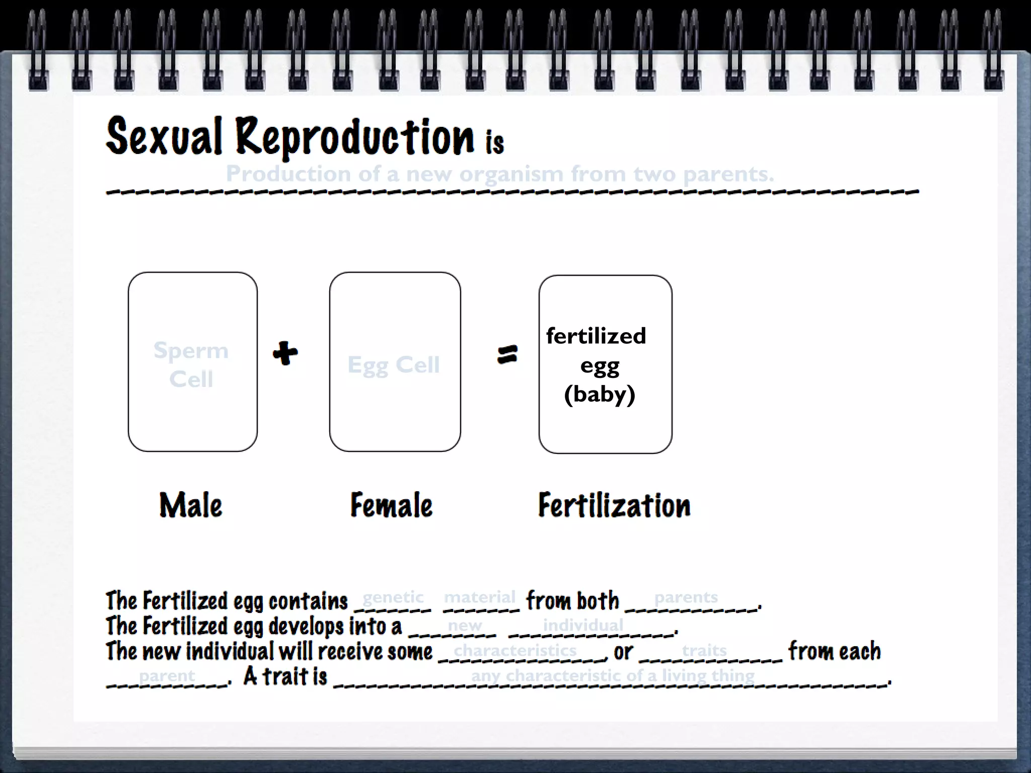 Reproduction unit | PPT