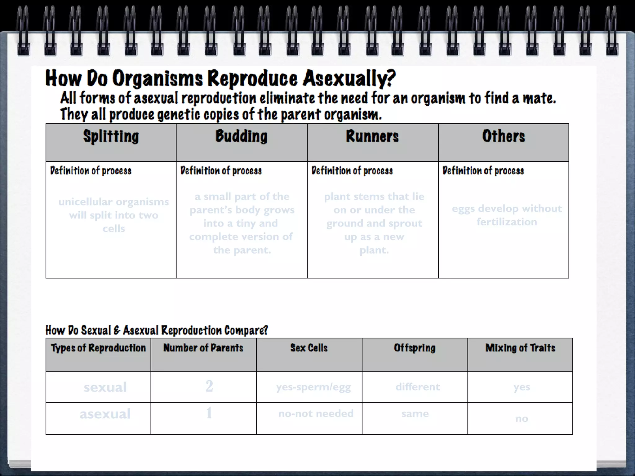 Reproduction unit | PPT