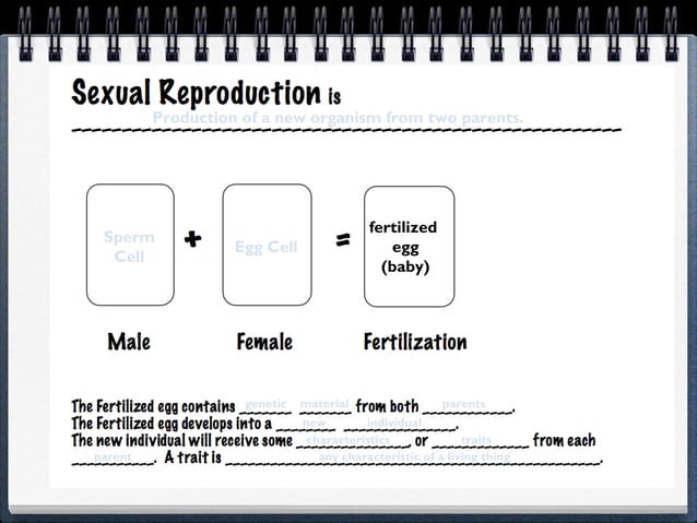 Reproduction unit | PPT