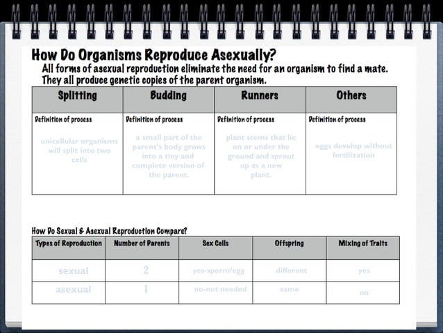 Reproduction unit | PPT