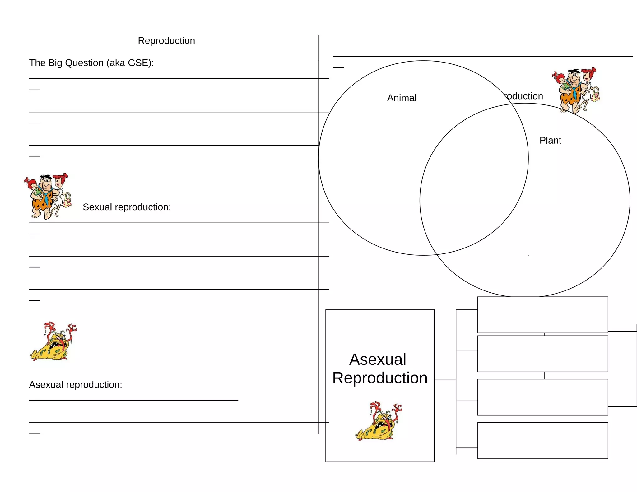 Reproduction+work+sheet+isn[1] | PPT