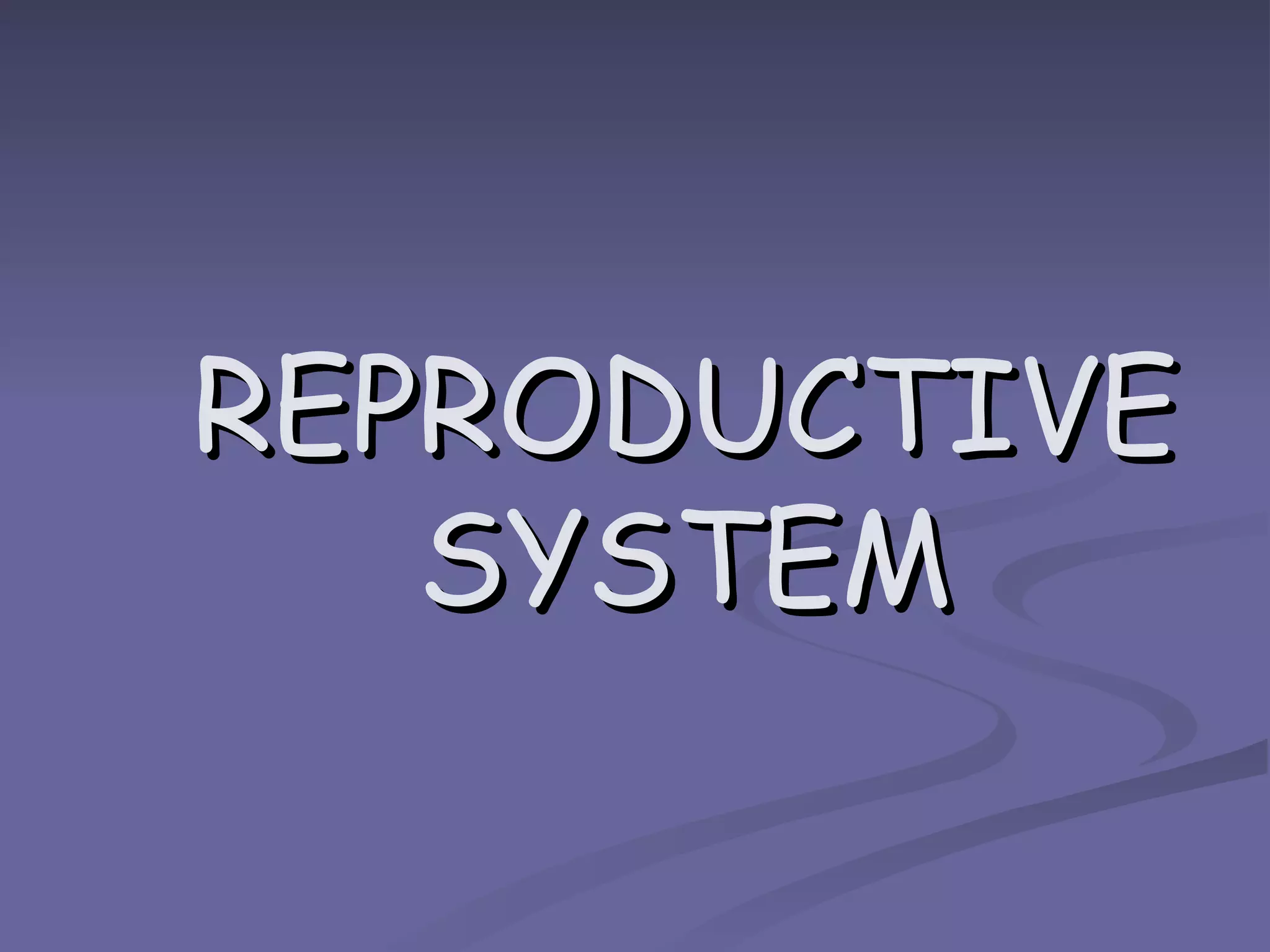Reproductive System | PPT