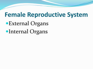 Reproductive System Male and female | PPTX