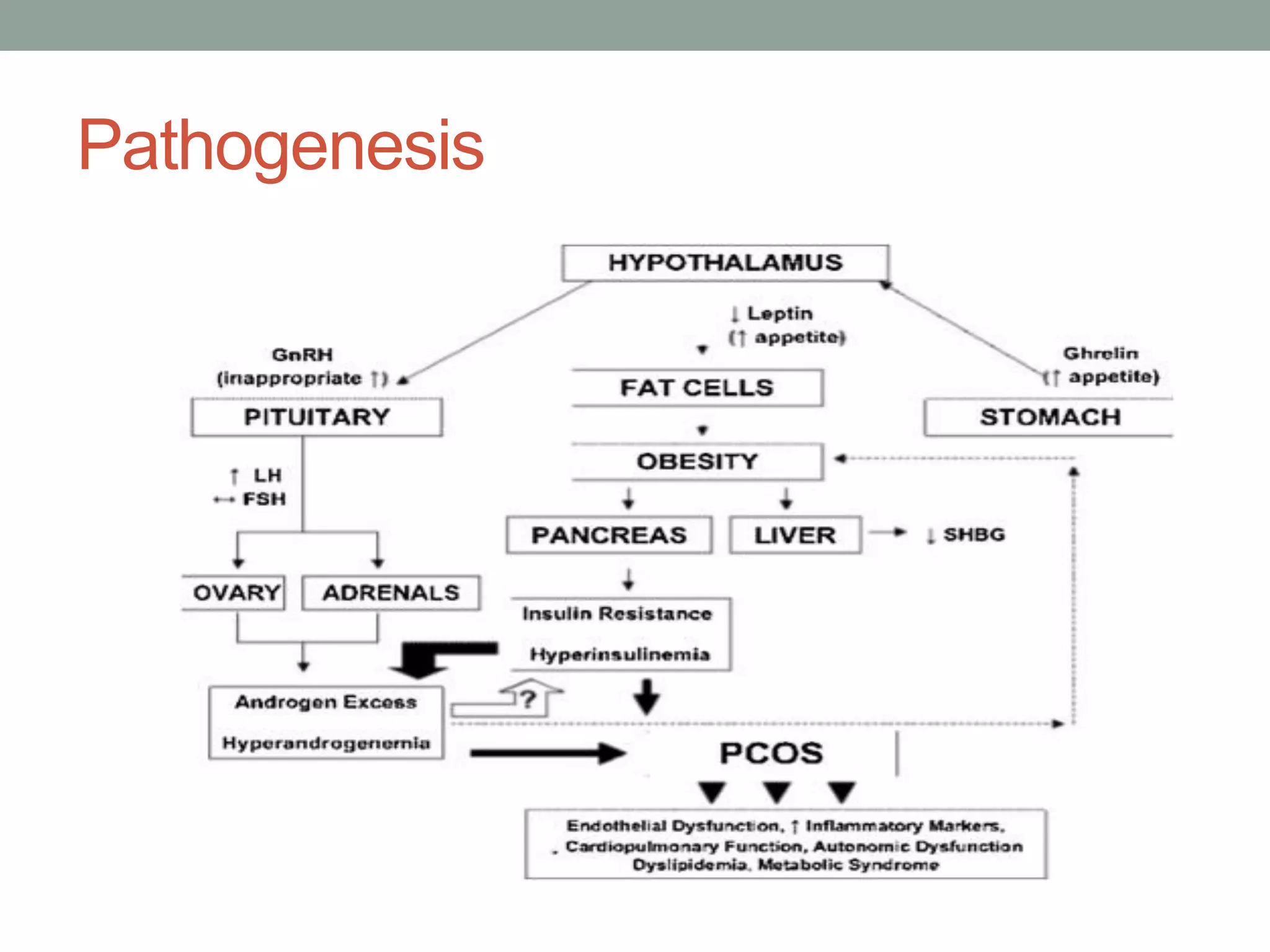 Sex hormone disorders pathophysiology | PDF