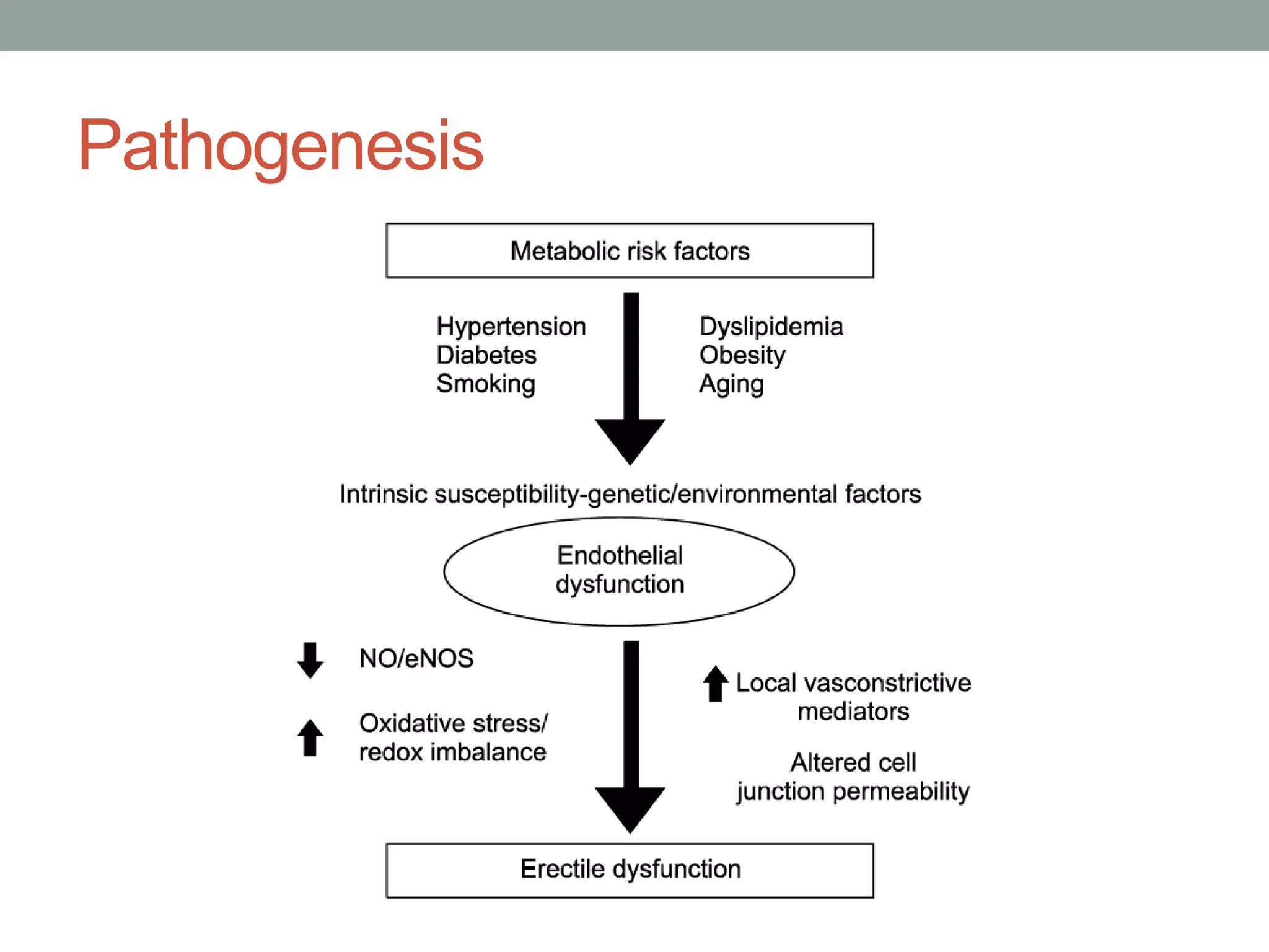 Sex Hormone Disorders Pathophysiology Pdf 7775