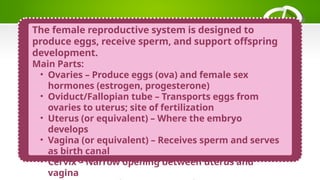 REPRODUCTIVE SYSTEMS AND ITS FUNCTIONS POWERPOINT | PPTX