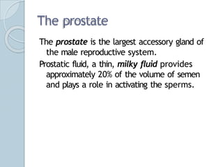 Reproductive-organs anatomy 1st year .pptx