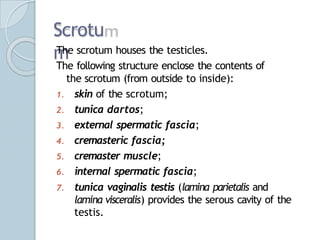 Reproductive-organs anatomy 1st year .pptx