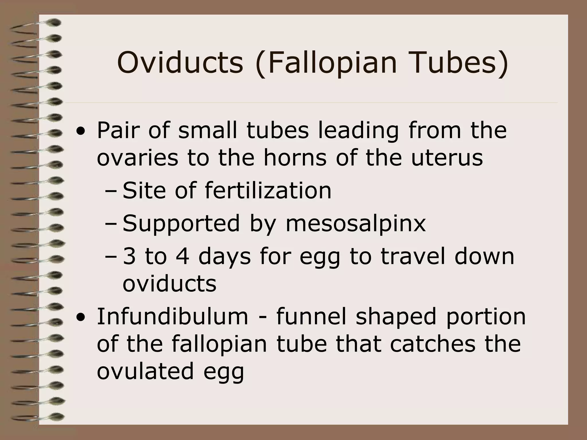 reproductive-structures-and-cycles-NXPowerLite.ppt