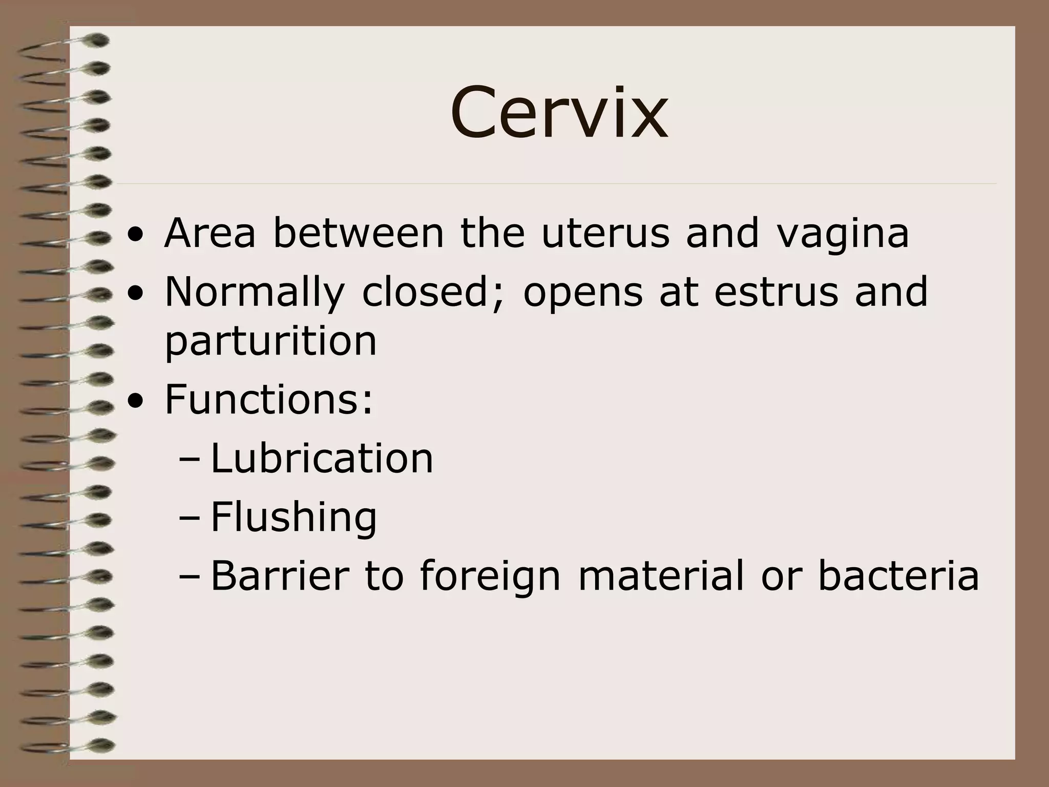 reproductive-structures-and-cycles-NXPowerLite.ppt