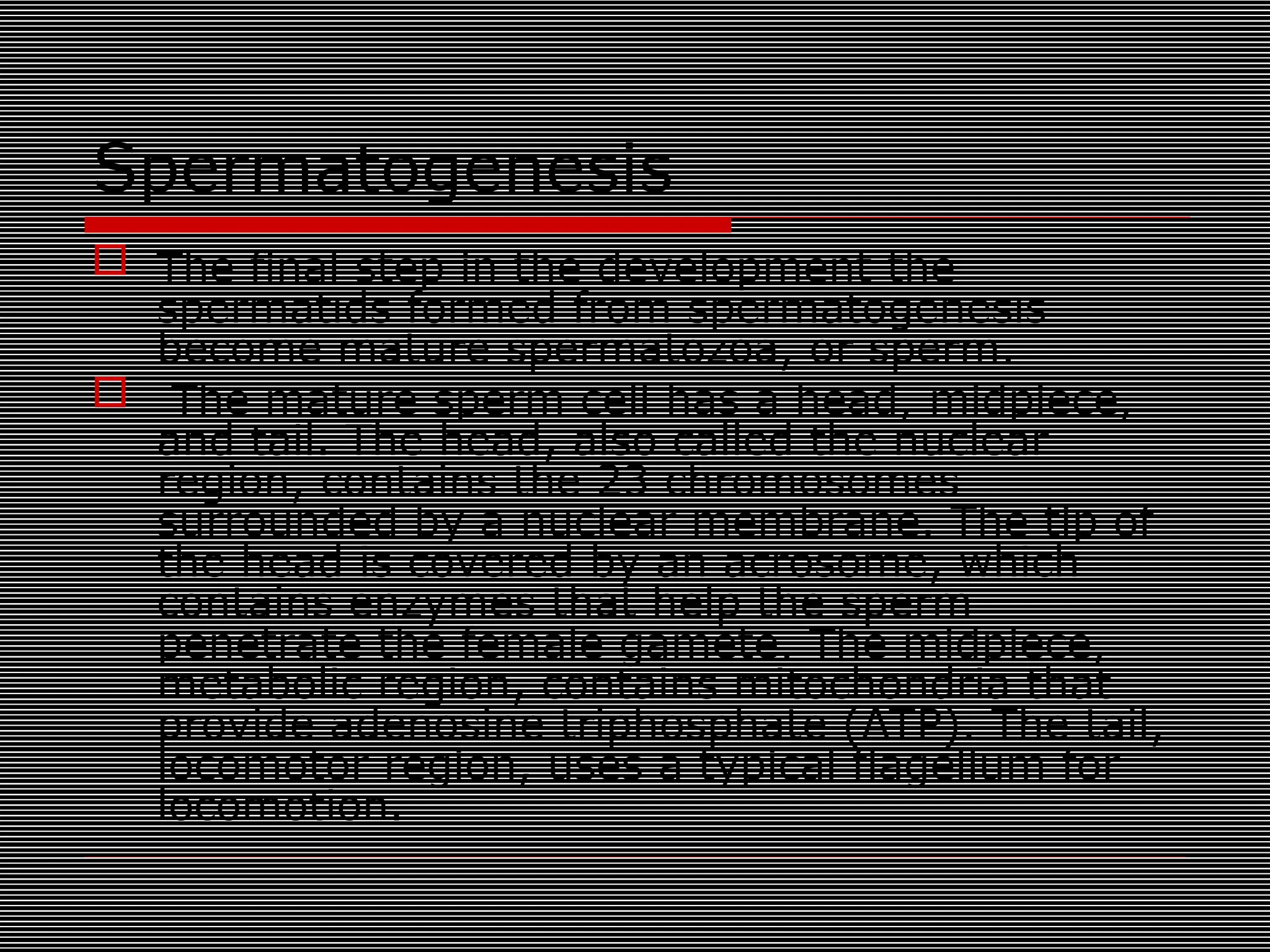 Reproductive-System-1-male.-Lesson-2.ppt