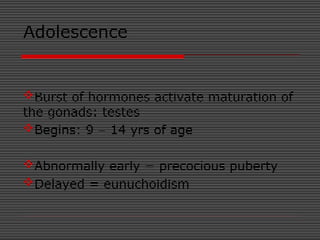 Reproductive-System-1-male.-Lesson-2.ppt