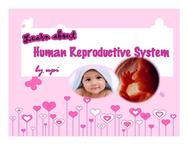 Reproductive system | PPT